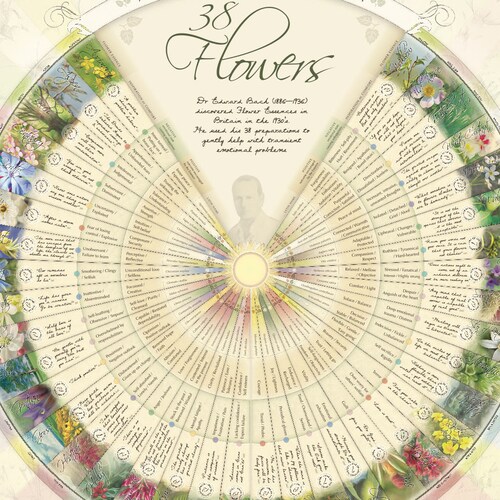 Bach Flower Poster Wall Chart for the 38 Essences. A1 - Etsy