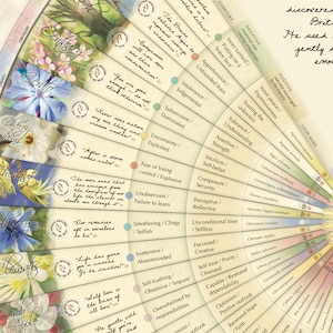 Bach Flower Poster Wall Chart for the 38 Essences. A1 - Etsy
