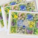 Bach Flower Greetings Cards. the 12 Healers, Pack of 3 - Etsy