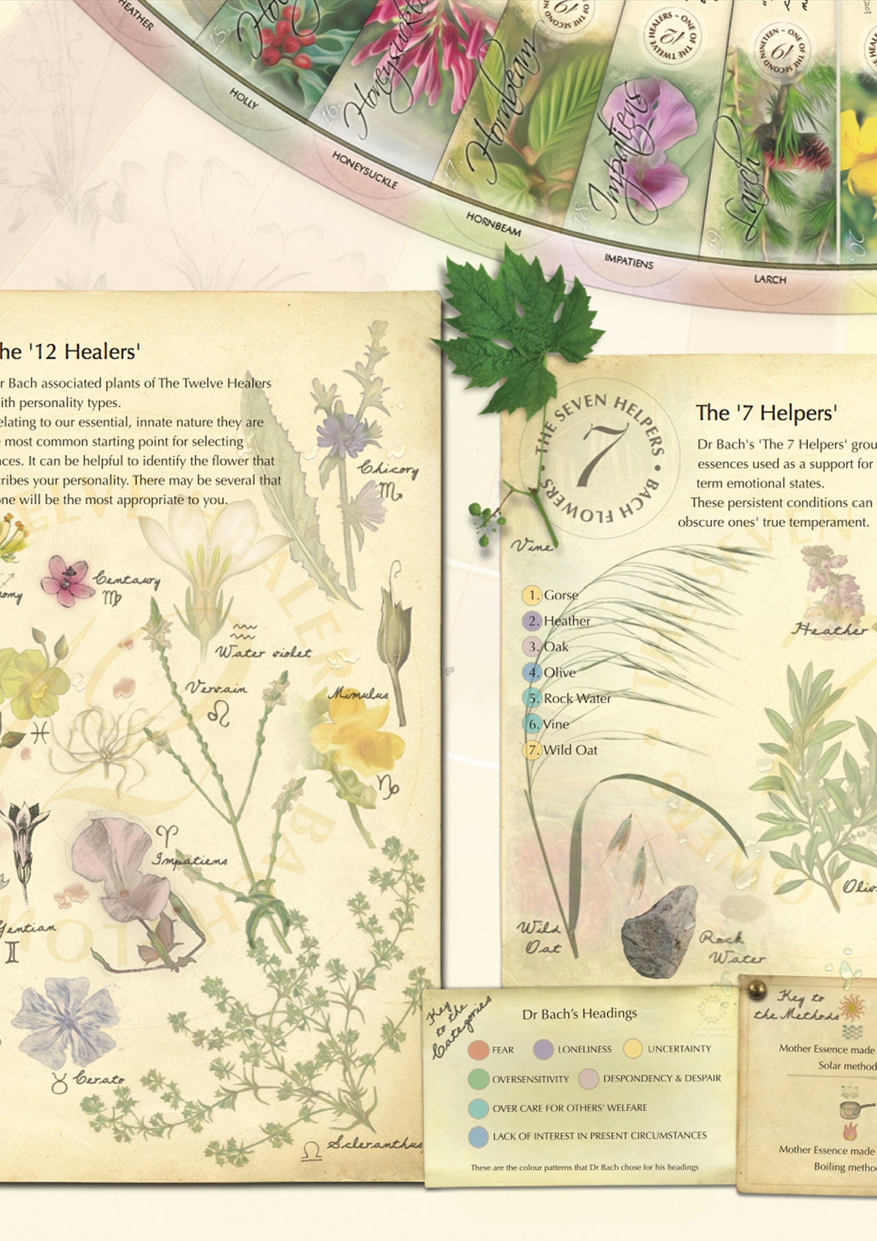 Bach Flower Poster Wall Chart for the 38 Essences. A1 - Etsy