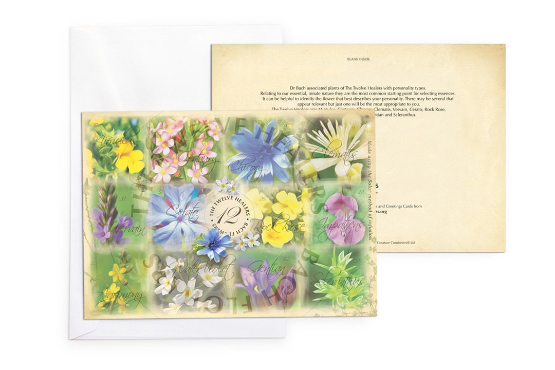 Bach Flower Greetings Cards. the 12 Healers, Pack of 3 - Etsy