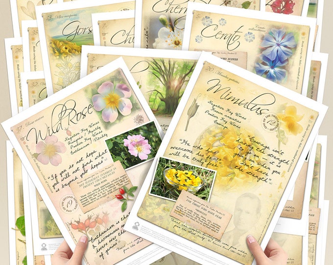 Bach Flower Poster Wall Chart for the 38 Essences. A1 - Etsy
