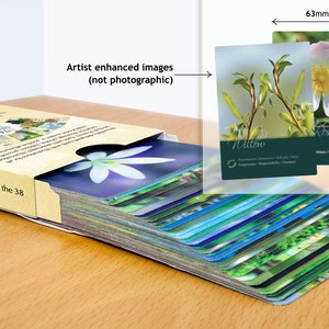 Bach Flower Divination Cards Pack - Etsy