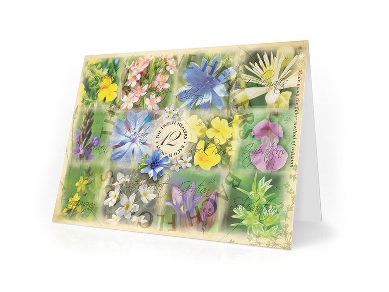 Bach Flower Greetings Cards. the 12 Healers, Pack of 3 - Etsy