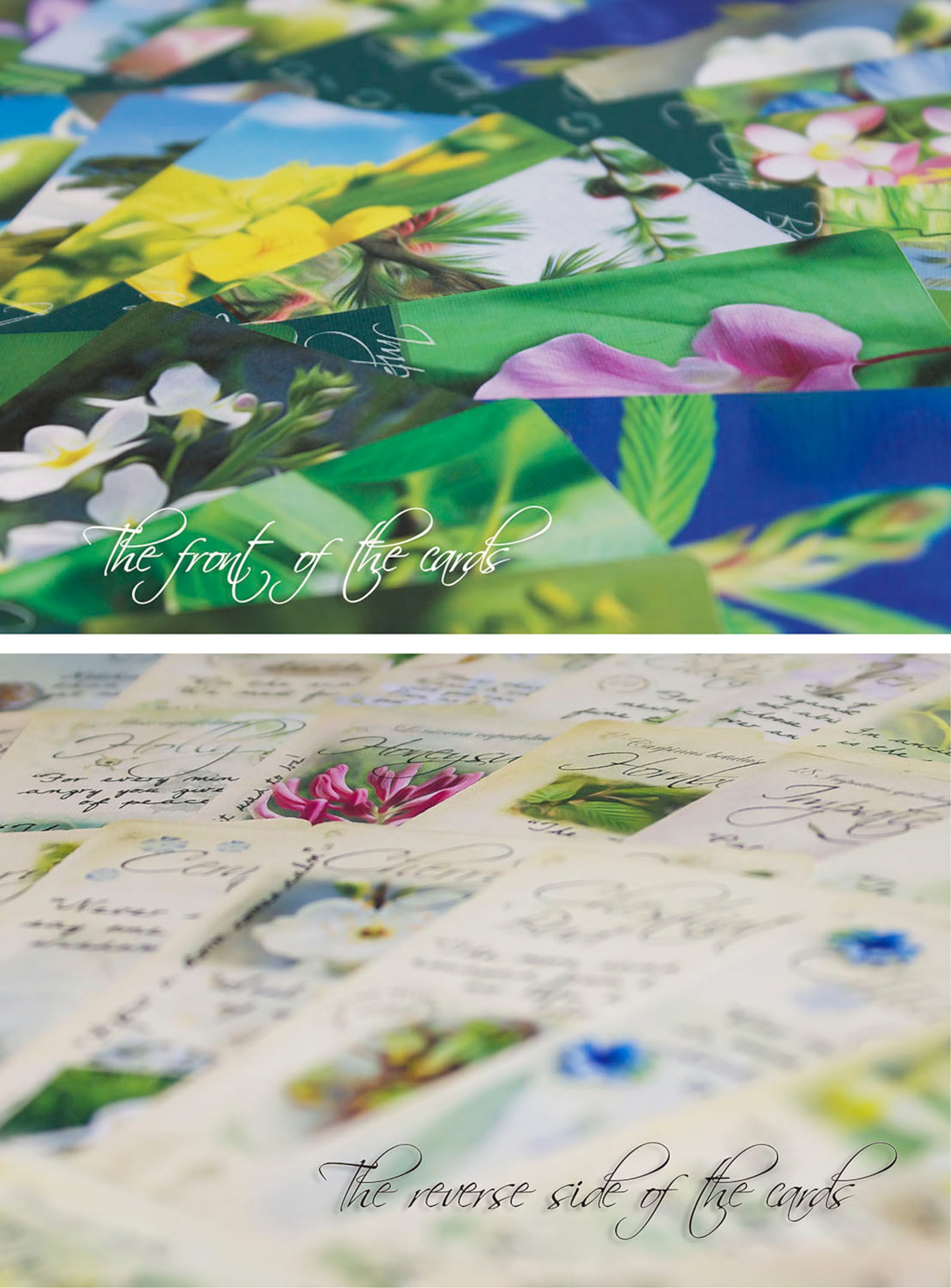 Bach Flower Divination Cards Pack - Etsy