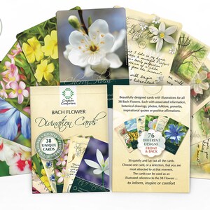 Bach Flower Essence Complete Kit in Wooden Case. Practitioner Remedy ...