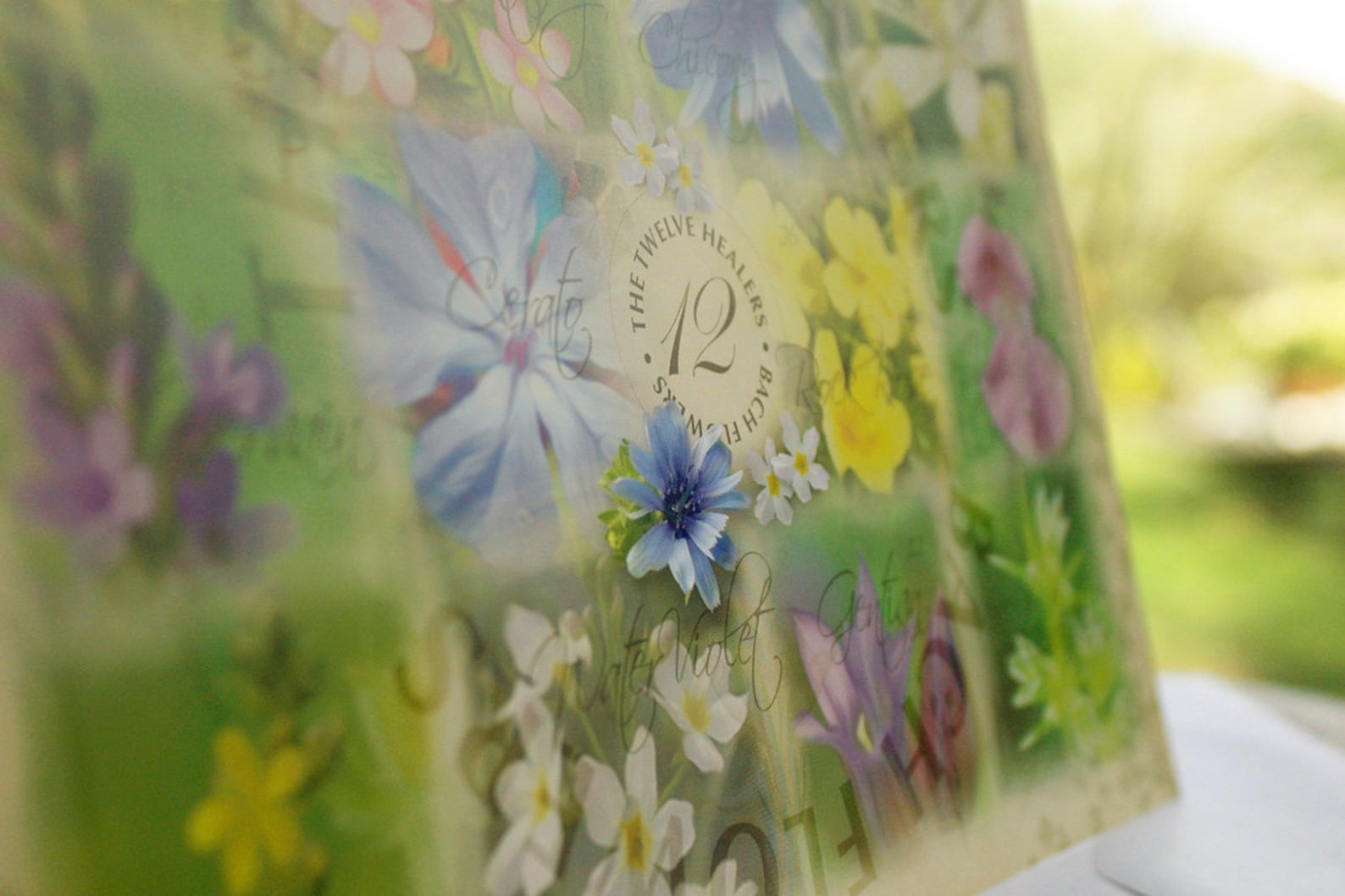 Bach Flower Greetings Cards. the 12 Healers, Pack of 3 - Etsy