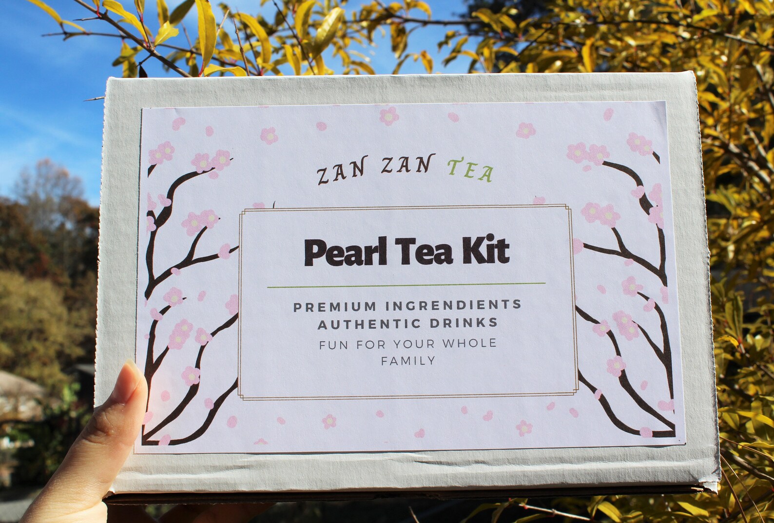 Bubble Tea Kit DIY Taiwanese original Style Make Your Own | Etsy