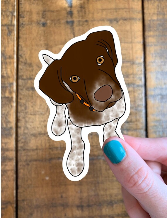German Shorthaired Pointer Dog Sticker Laptop Decal Sticker | Etsy