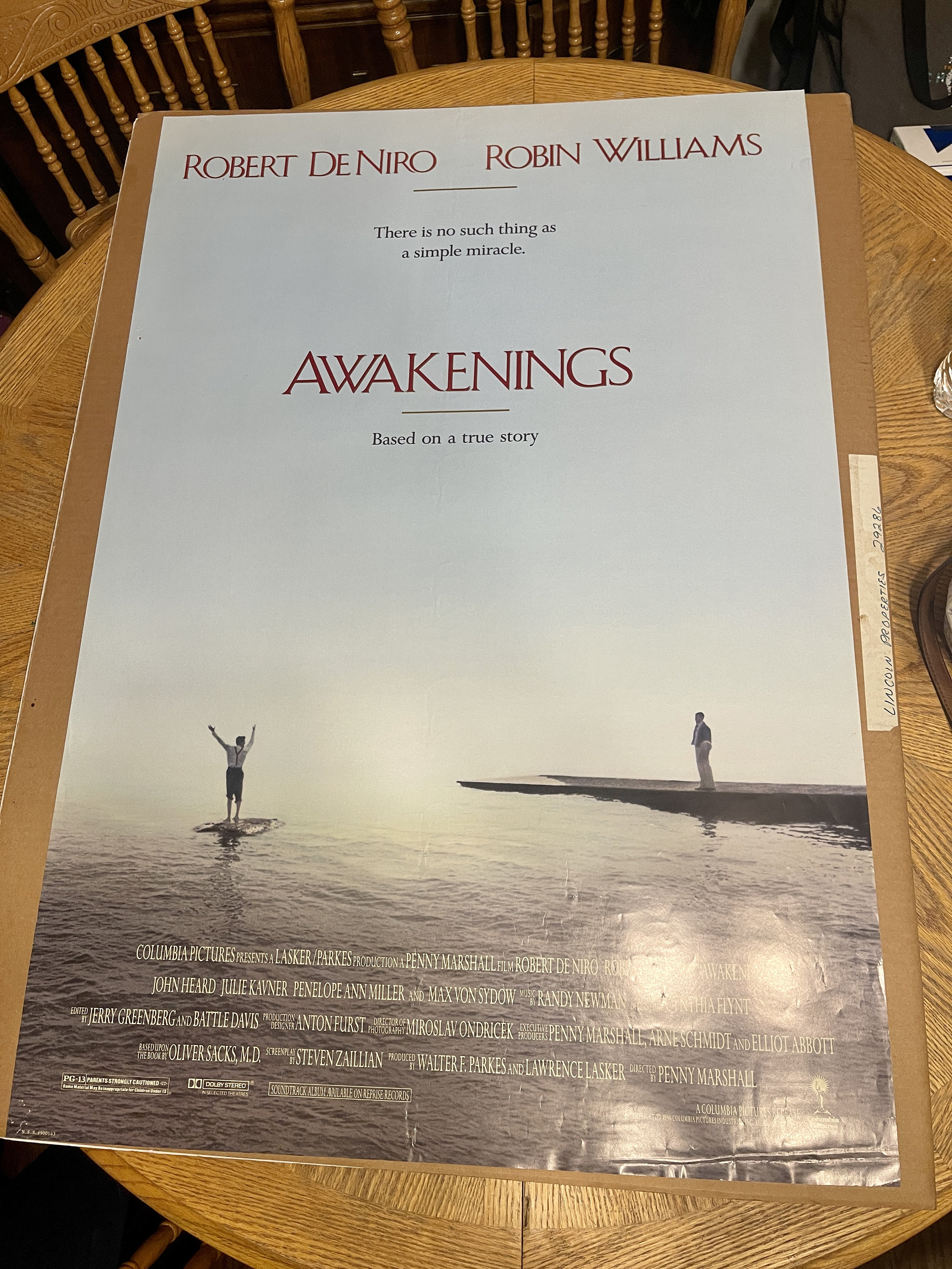 Awakenings (1990)