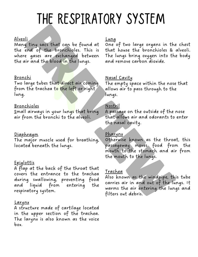 Parts of the Respiratory System Diagram Labeling Worksheet - Elementary ...