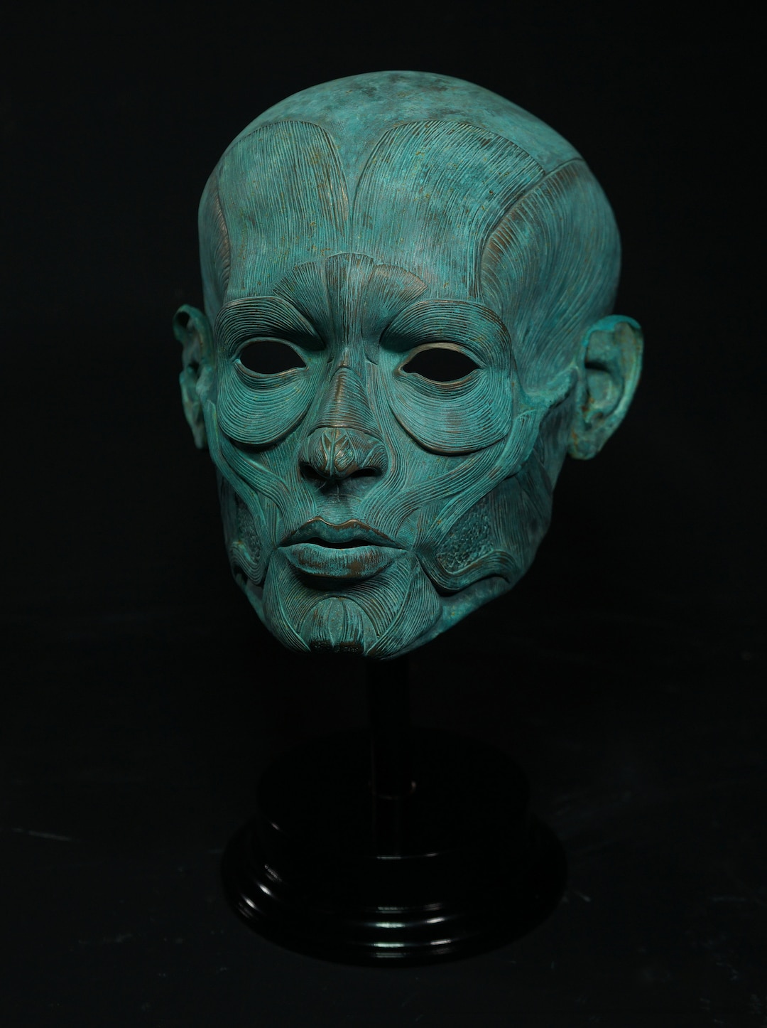 Bronze Verdigris Oxidized Patina Ecorche Display Mask With Stand - Etsy