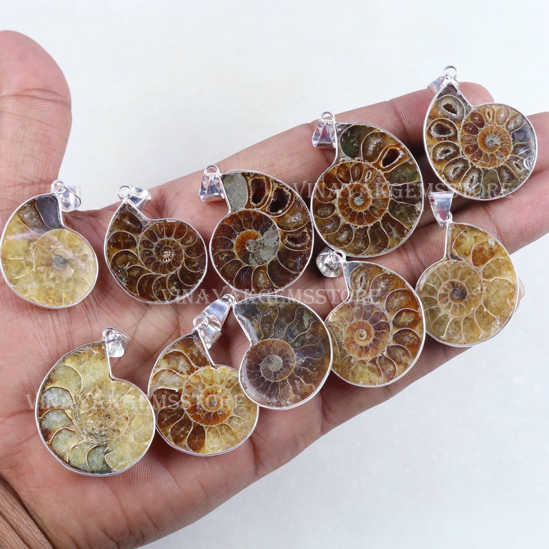 Ammonite Pendant - Etsy