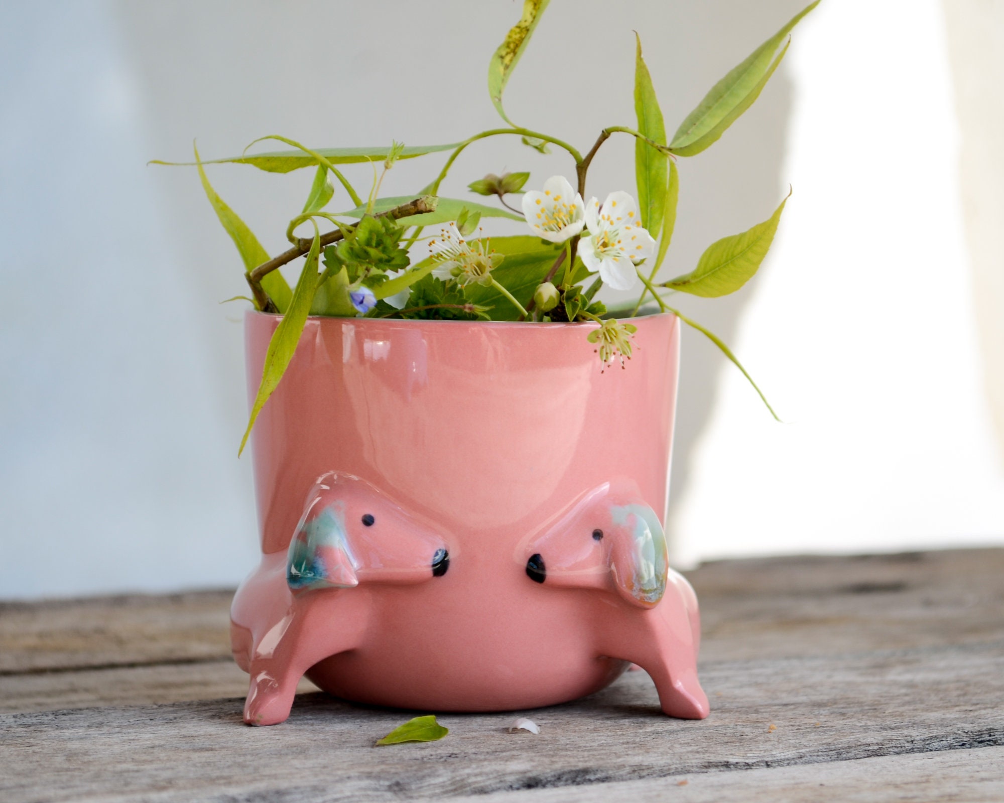Weiner Dog Planter Small Plant Pot for Succulents Dachshund | Etsy
