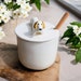 Dachshund Handmade Porcelain Salt/sugar Bowl, Dog-themed Kitchen Decor ...