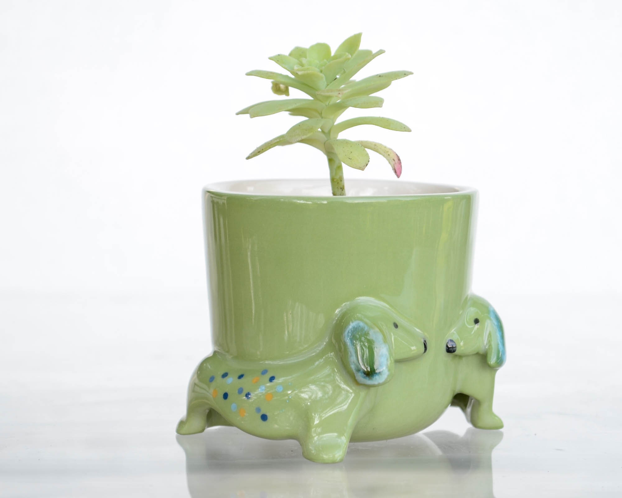 White Dog Flower Pot Ceramic Planter Dachshund Sculpture | Etsy