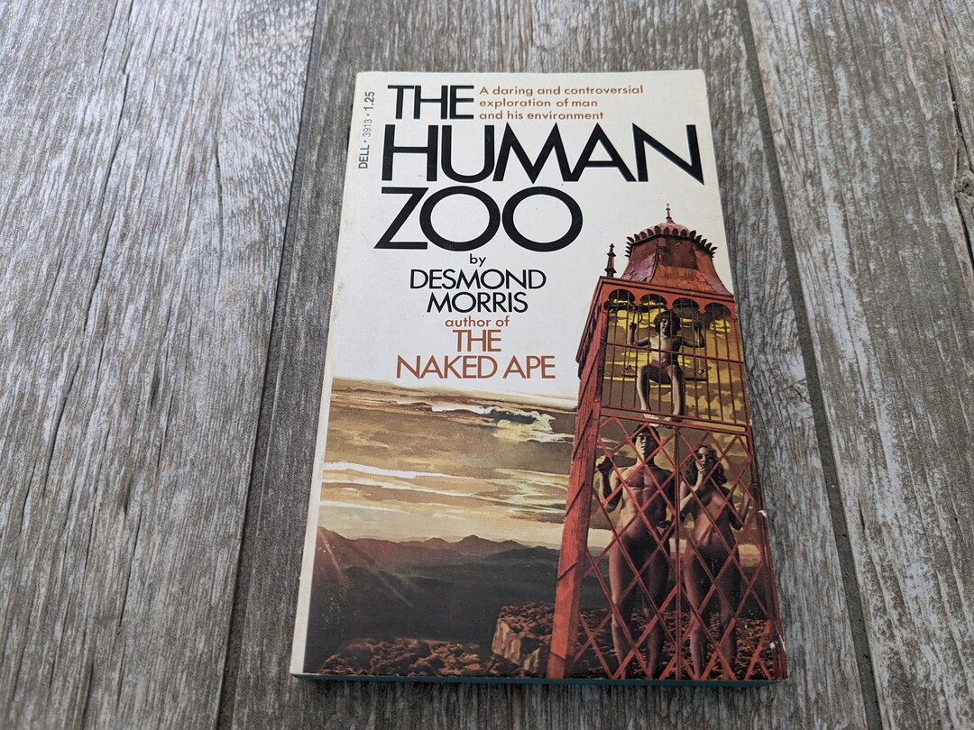 1971 the Human Zoo by Desmond Morris Vintage Paperback Book Man and His ...
