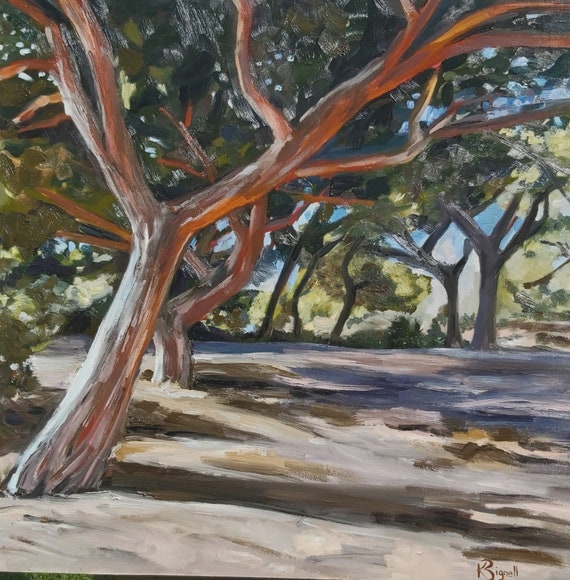 Original Oil Painting of Cork Trees Portugal Nature - Etsy