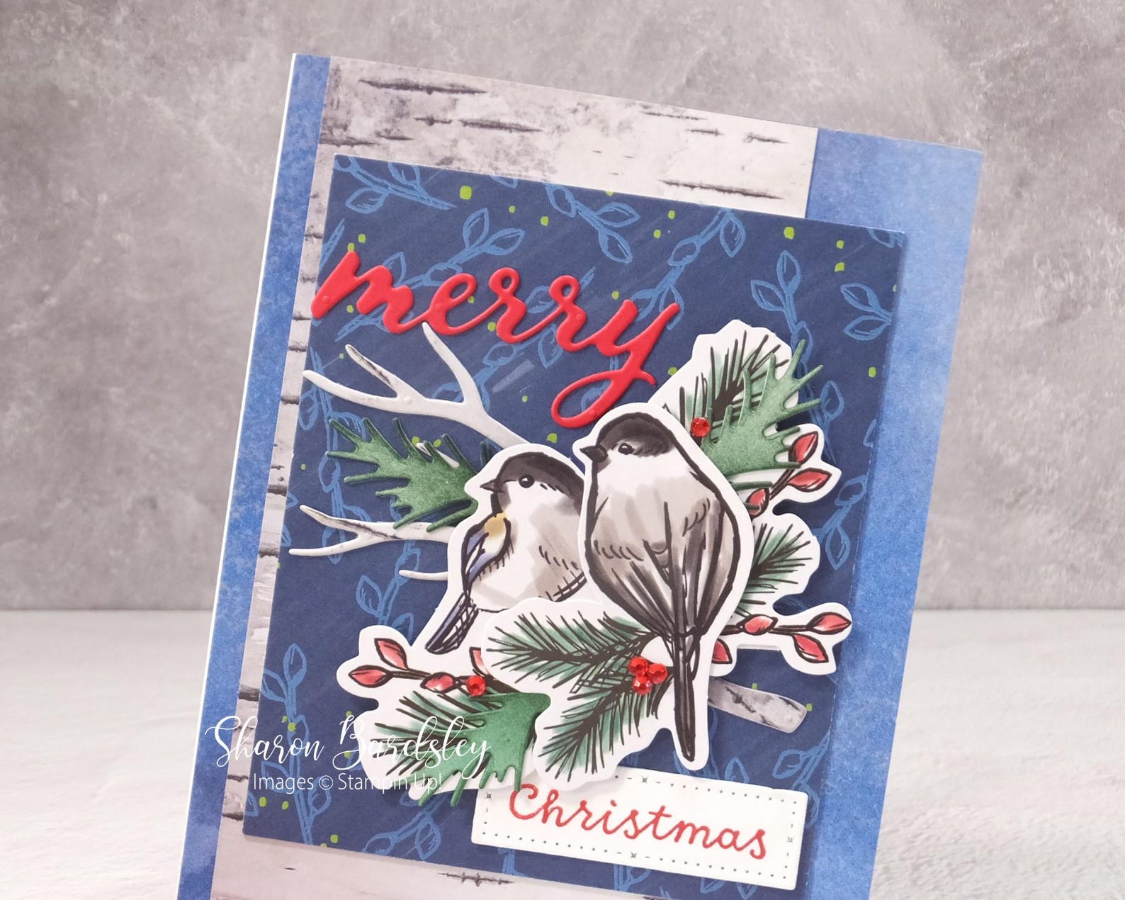 Handmade Christmas Card - Stampinup Nests of Christmas Winter ...