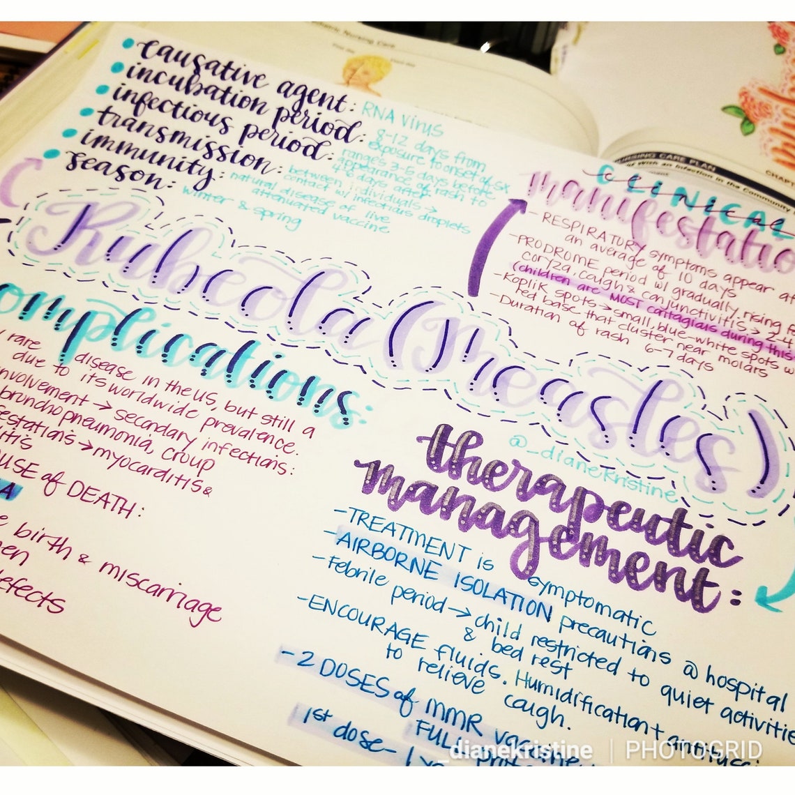 Rubeola (measles)- Nursing Notes/ Concept Map- Pediatrics Semester - Etsy