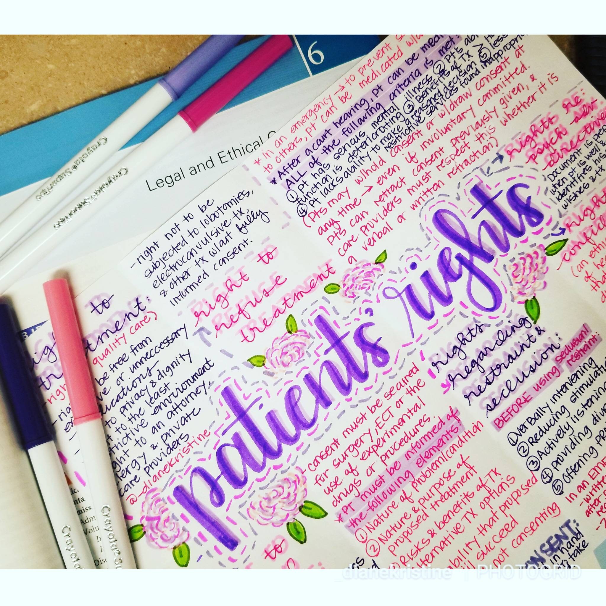 Mental Health Unit 1 Bundle- Nursing Notes/ Concept Maps - Etsy