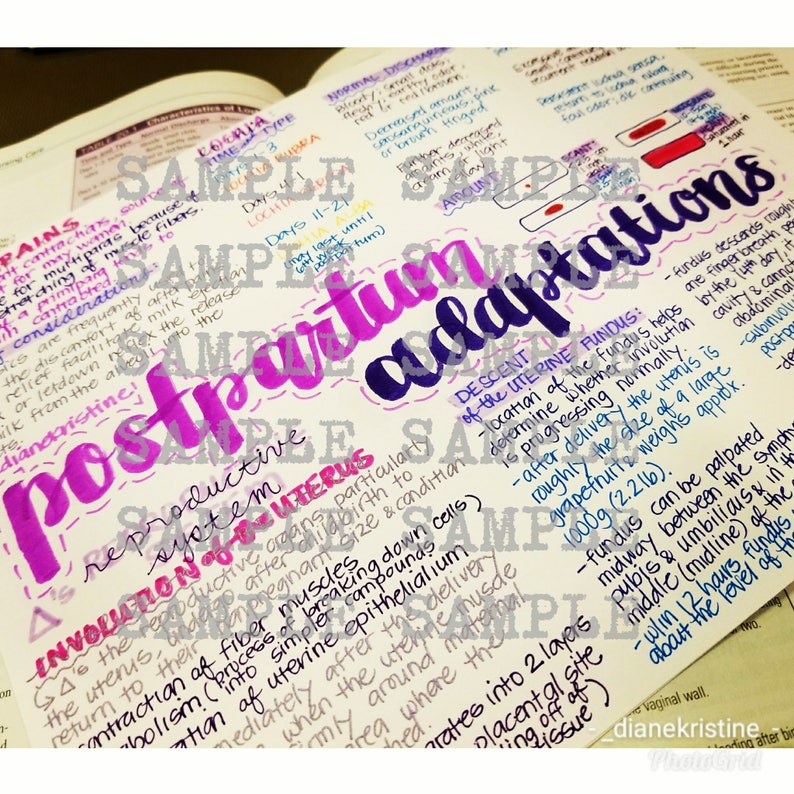 OB Unit 1 Bundle (6 Pages) - Nursing Notes- Maternal Child OB Semester ...