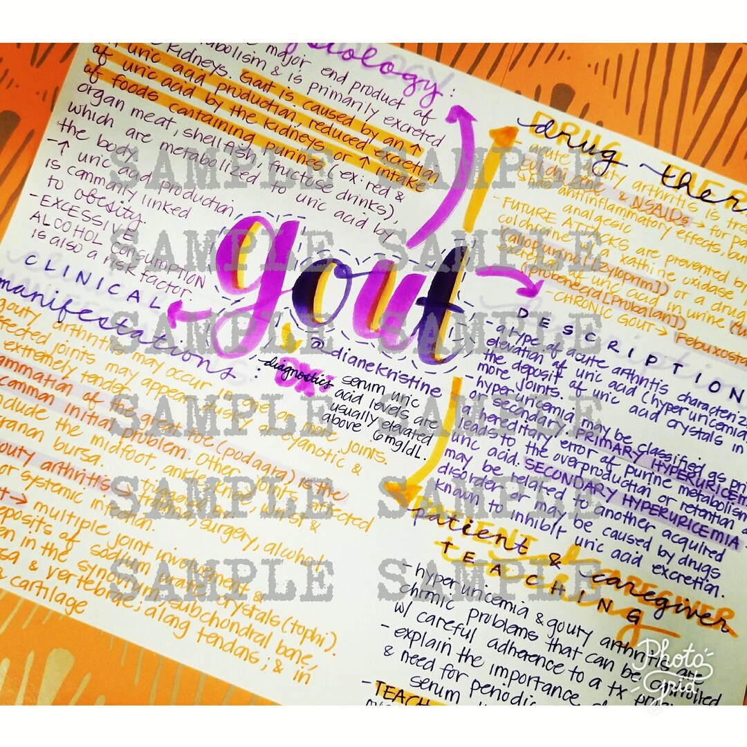 Gout- Nursing Notes/ Concept Map- Medical Surgical Semester - Etsy