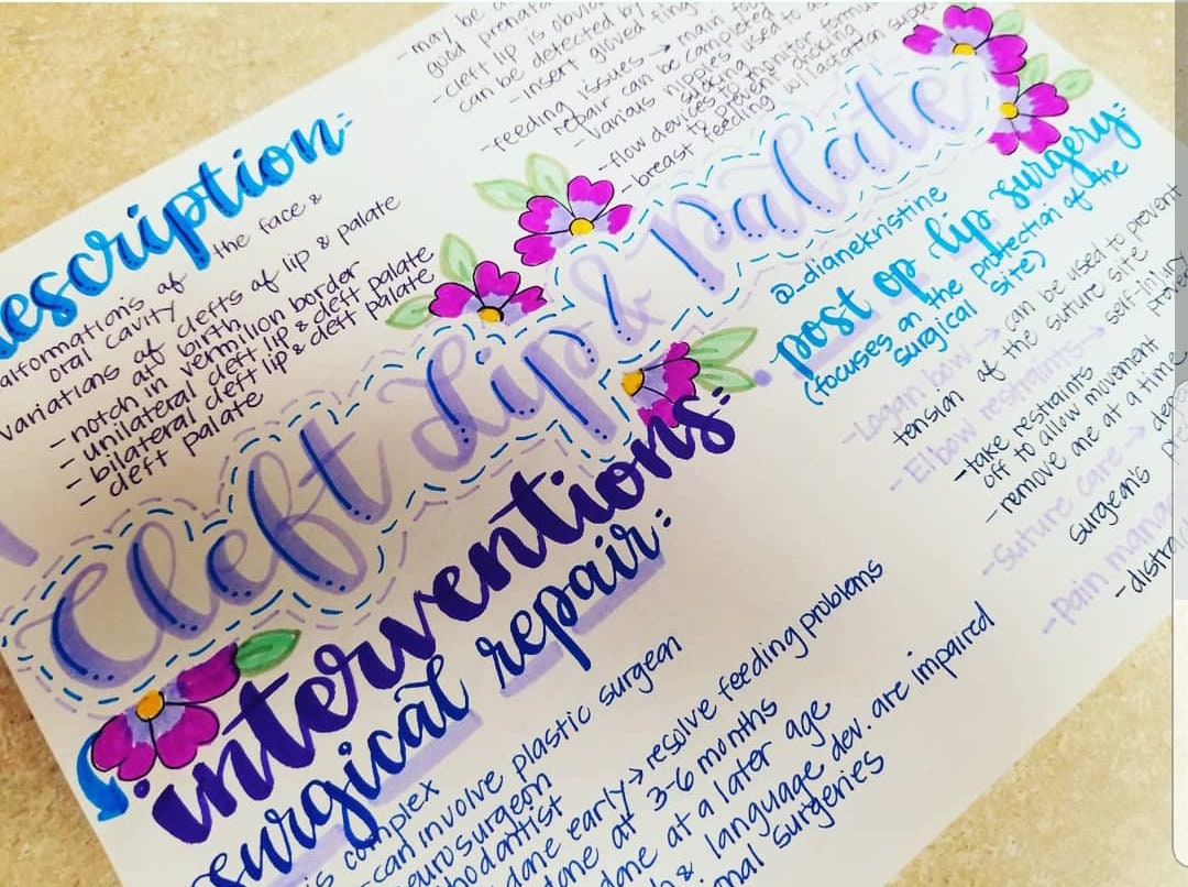 Cleft Lip & Palate- Nursing Notes/ Concept Map- Pediatrics Semester ...