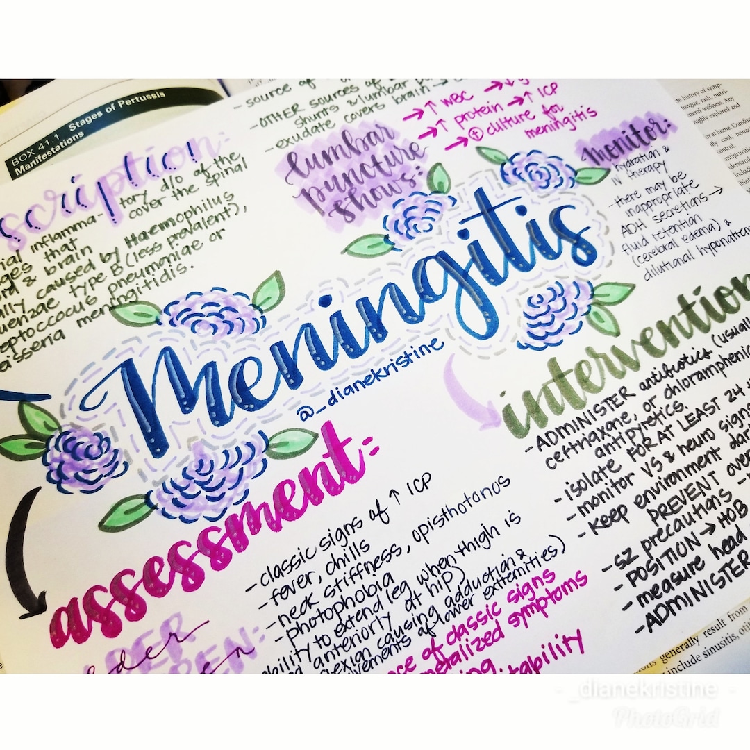 Meningitis- Nursing Notes/ Concept Map- Pediatrics Semester - Etsy