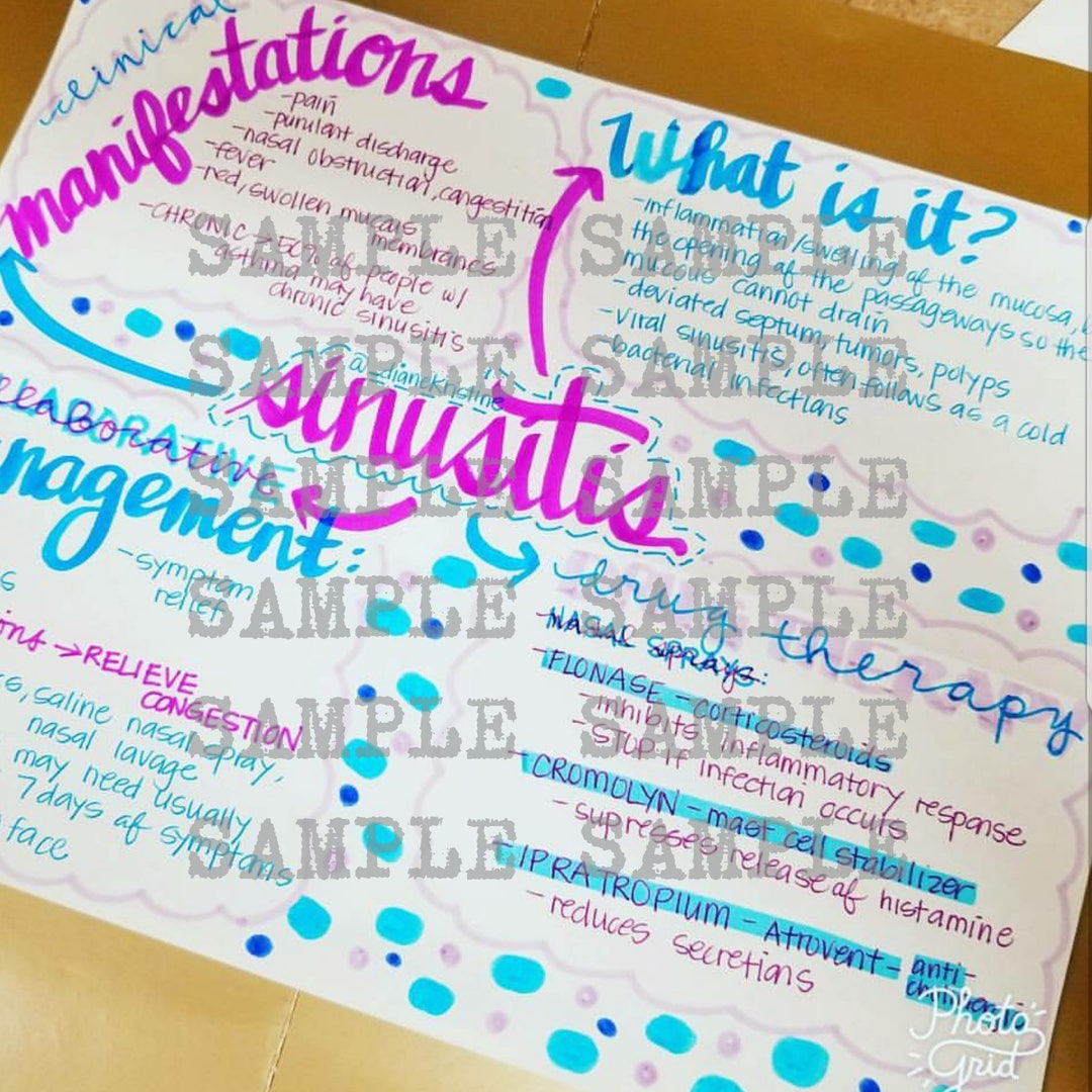 Sinusitis- Nursing Notes/ Concept Maps- Medical Surgical Semester - Etsy