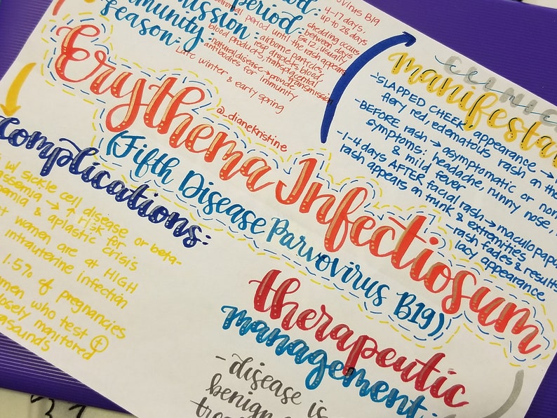 5th Disease Parvovirus B19/ Erythema Infectiosum- Nursing Notes ...