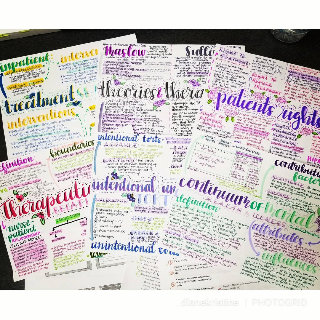 Mental Health Unit 1 Bundle- Nursing Notes/ Concept Maps - Etsy