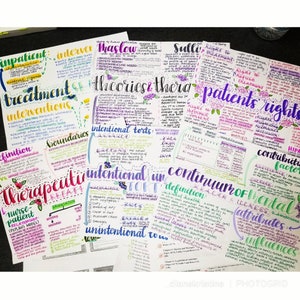 Mental Health Unit 1 Bundle- Nursing Notes/ Concept Maps - Etsy