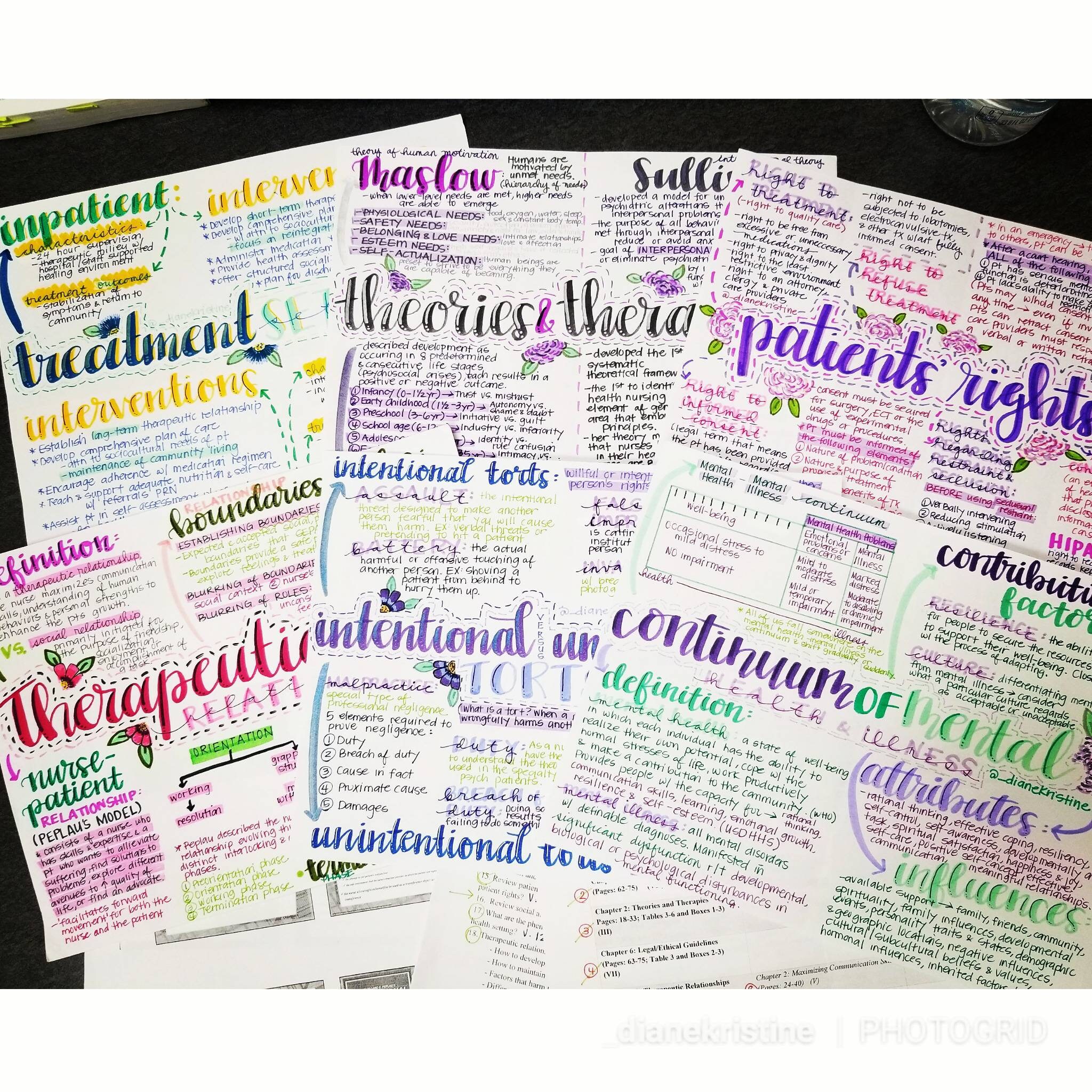 Mental Health Unit 1 Bundle- Nursing Notes/ Concept Maps - Etsy