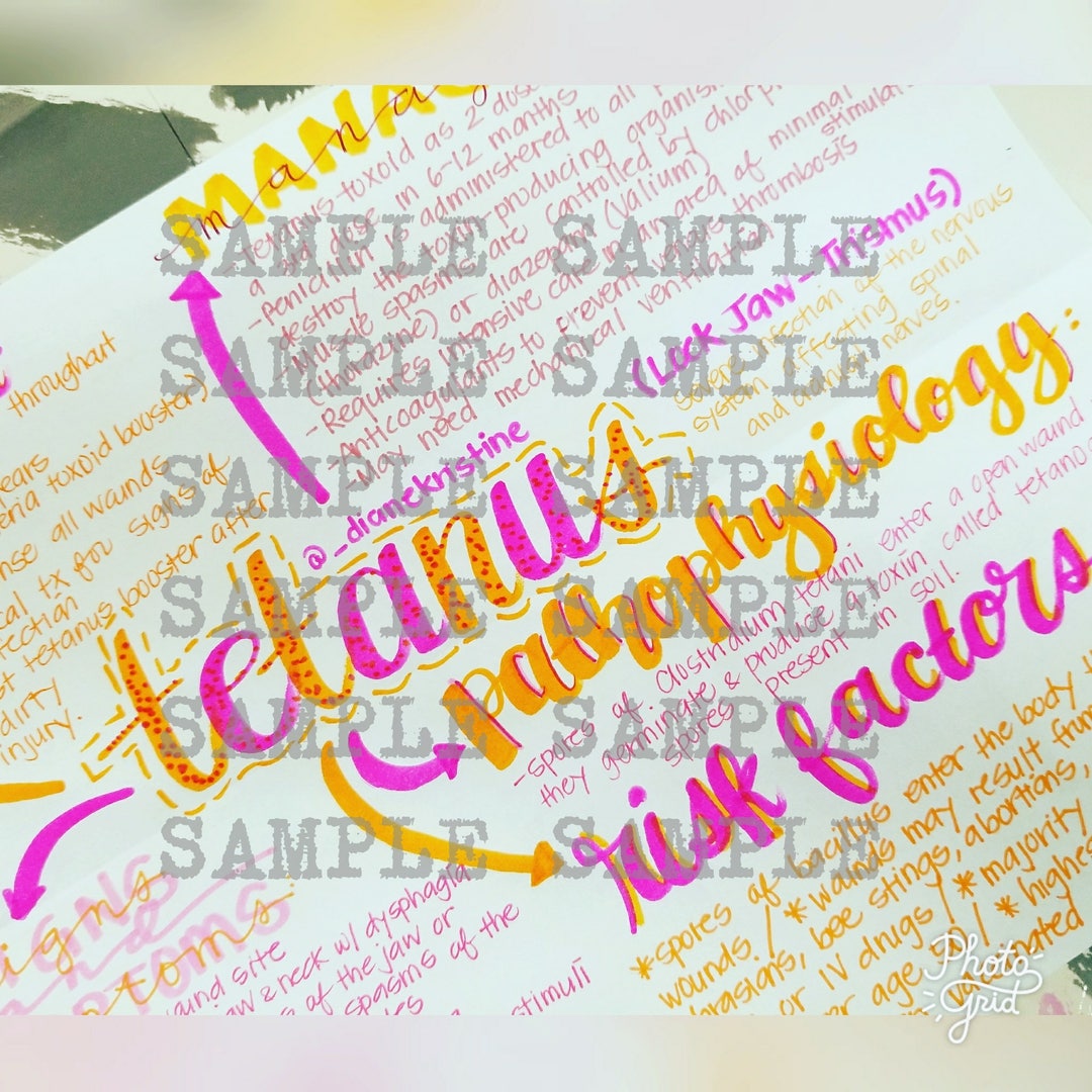 Tetanus Nursing Notes/ Concept Map Medical Surgical Semester - Etsy