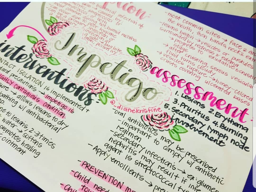 Impetigo- Nursing Notes/ Concept Map- Pediatrics Semester Fall 2018 - Etsy