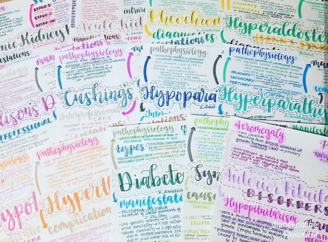 Critical Care COMPLETE Bundle/ Units 1-4 ( Pages)- Nursing Notes ...