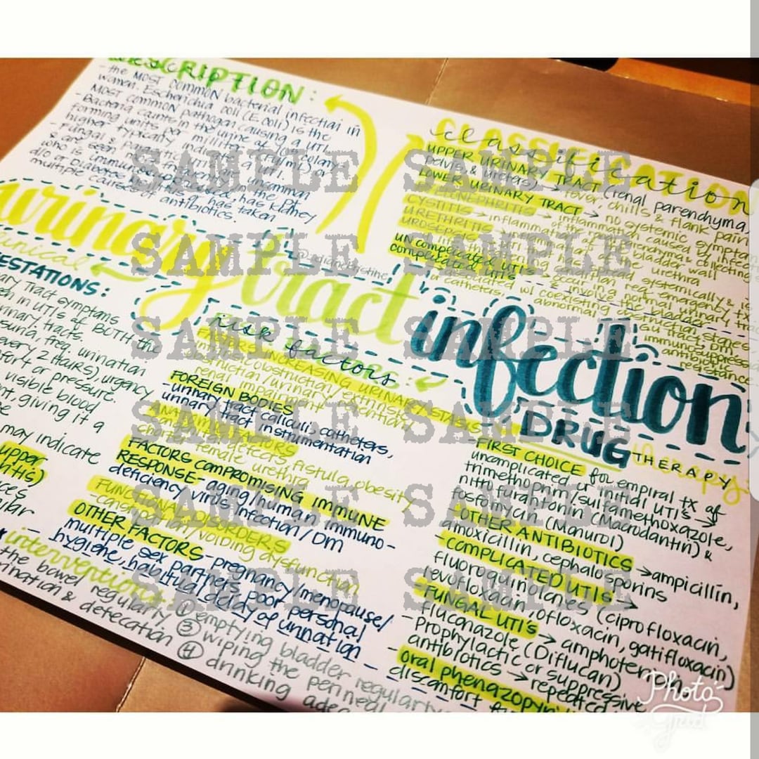 Urinary Tract Infection- Nursing Notes/ Concept Map- Medical Surgical ...