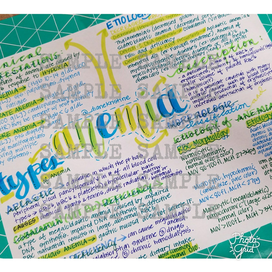 Anemia- Nursing Notes/ Concept Map/ Medical Surgical Semester - Etsy