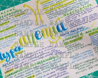 Anemia Nursing Notes - Etsy