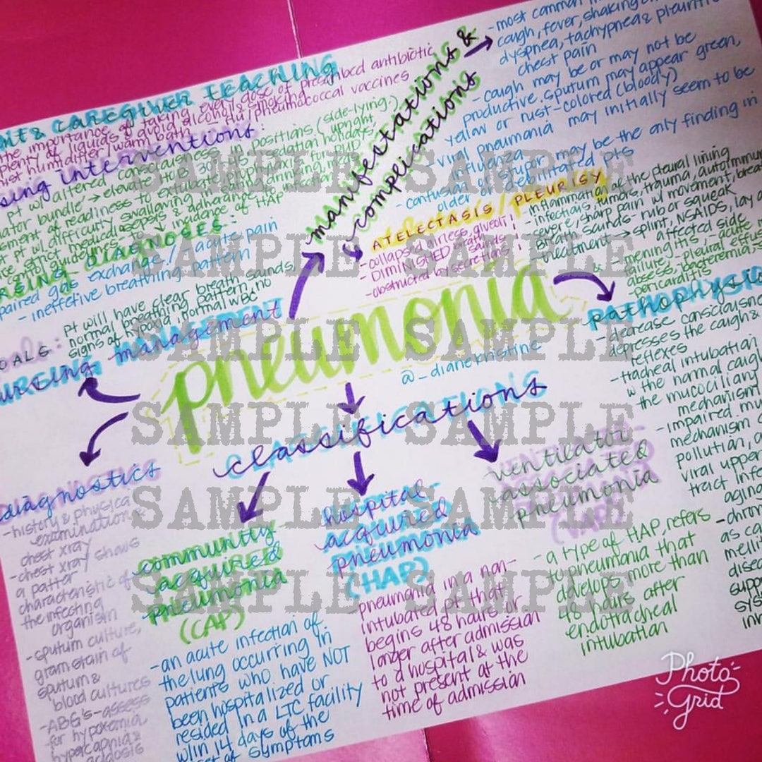 Pneumonia Nursing Notes/ Concept Map Medical Surgical Semester - Etsy