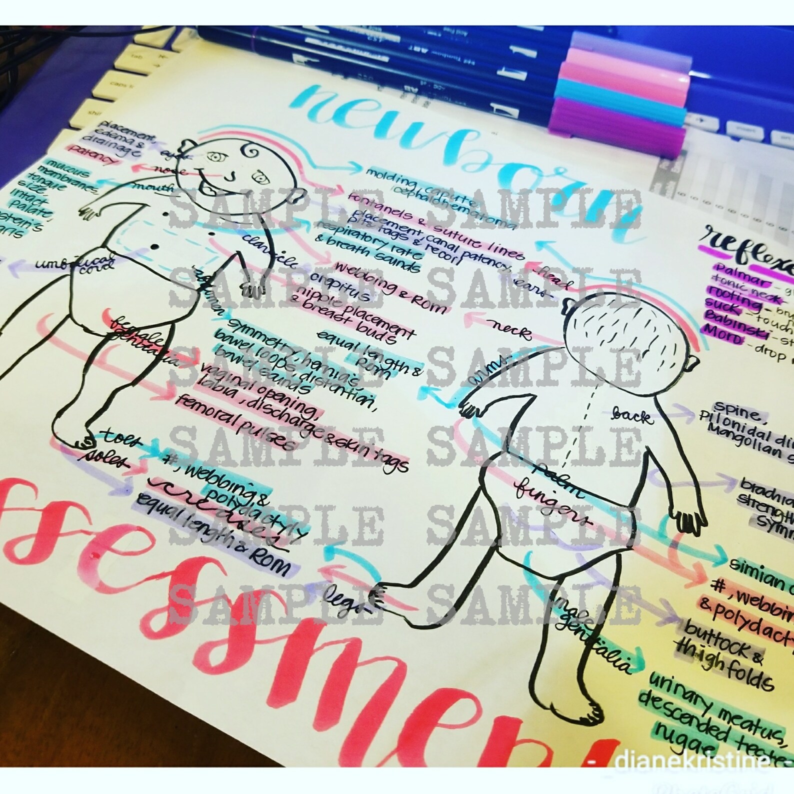 Newborn Assesment- Nursing Notes- Maternal Child OB Semester - Etsy