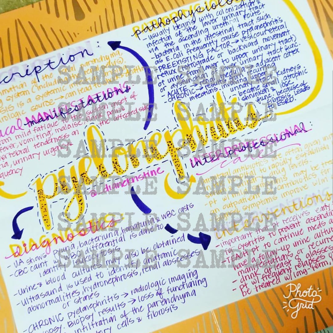 Pyelonephritis- Nursing Notes/ Concept Map- Medical Surgical Semester ...