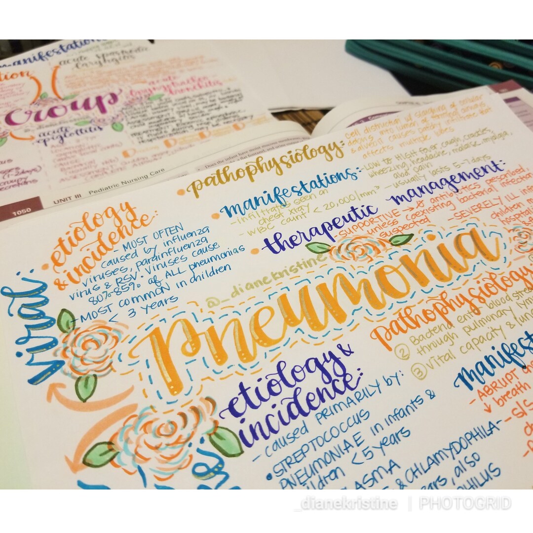 Pneumonia- Nursing Notes/ Concept Map- Pediatrics Semester - Etsy