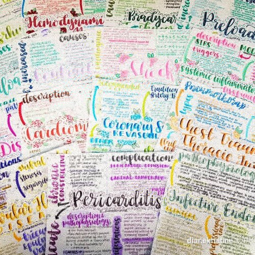 Mental Health Unit 1 Bundle Nursing Notes/ Concept Maps | Etsy