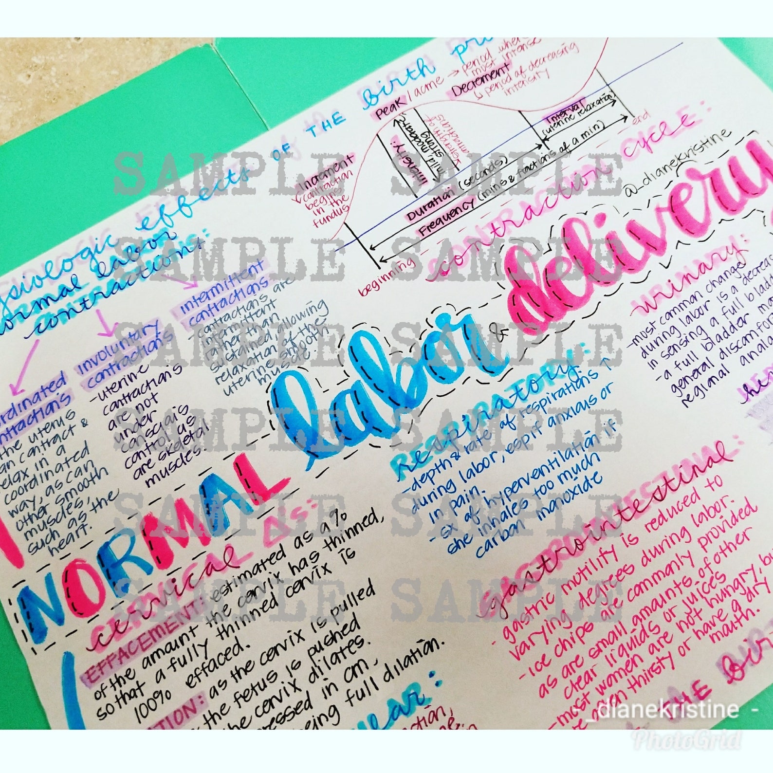 OB Unit 1 Bundle (6 Pages) - Nursing Notes- Maternal Child OB Semester ...