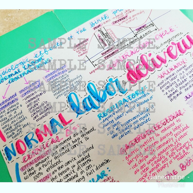 OB Unit 1 Bundle (6 Pages) - Nursing Notes- Maternal Child OB Semester ...