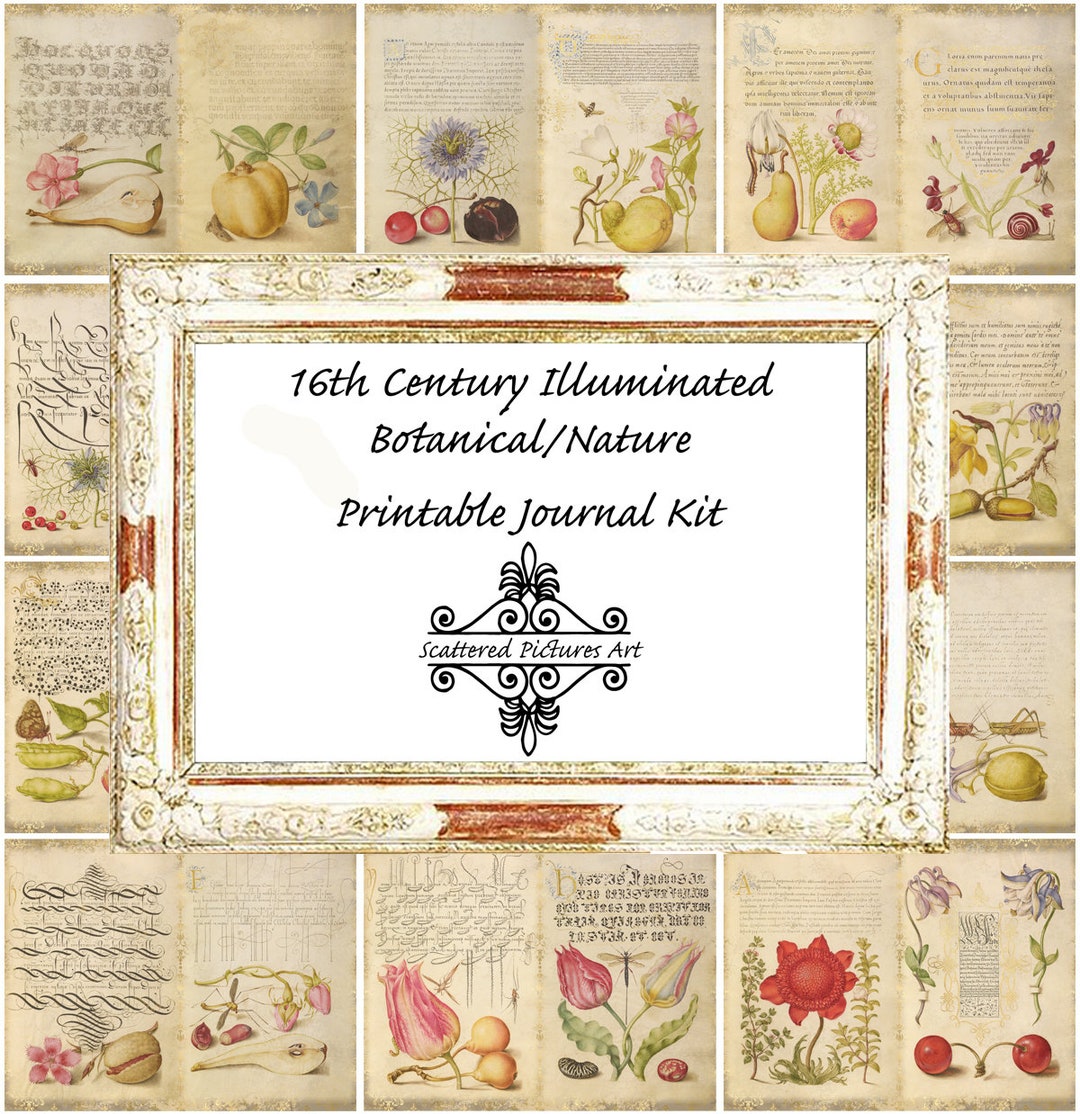 16th Century Illuminated Botanical/nature Printable Journal Kit 41 ...