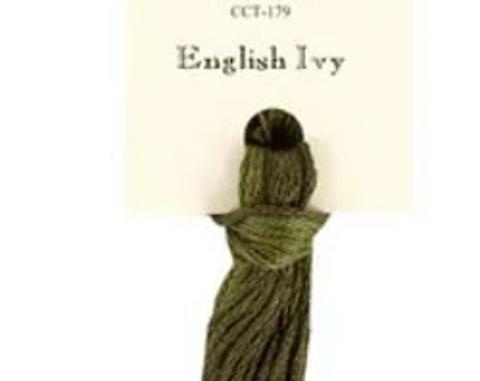 English Ivy 'glacier', Variegated English Ivy Hedera Helix , Live Ivy ...