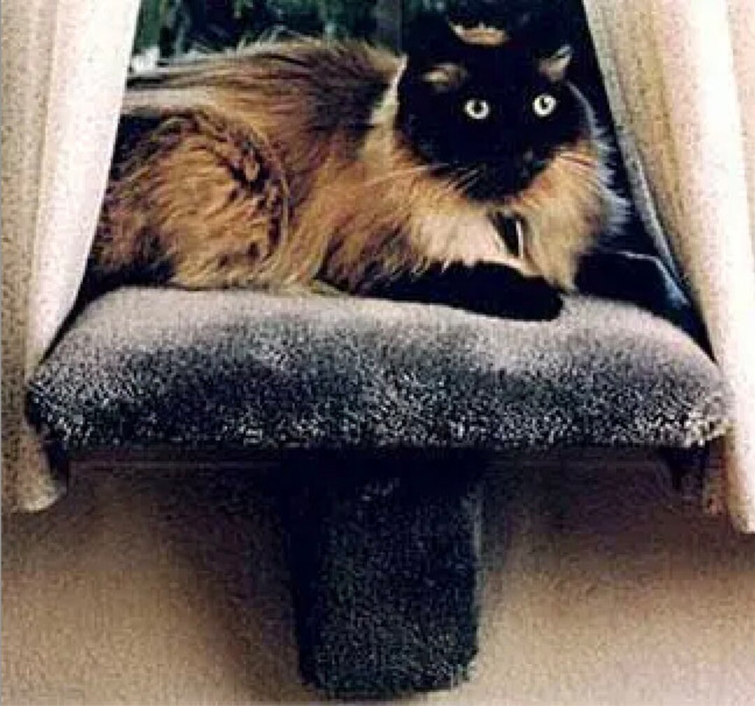 Small Window Perch - Etsy